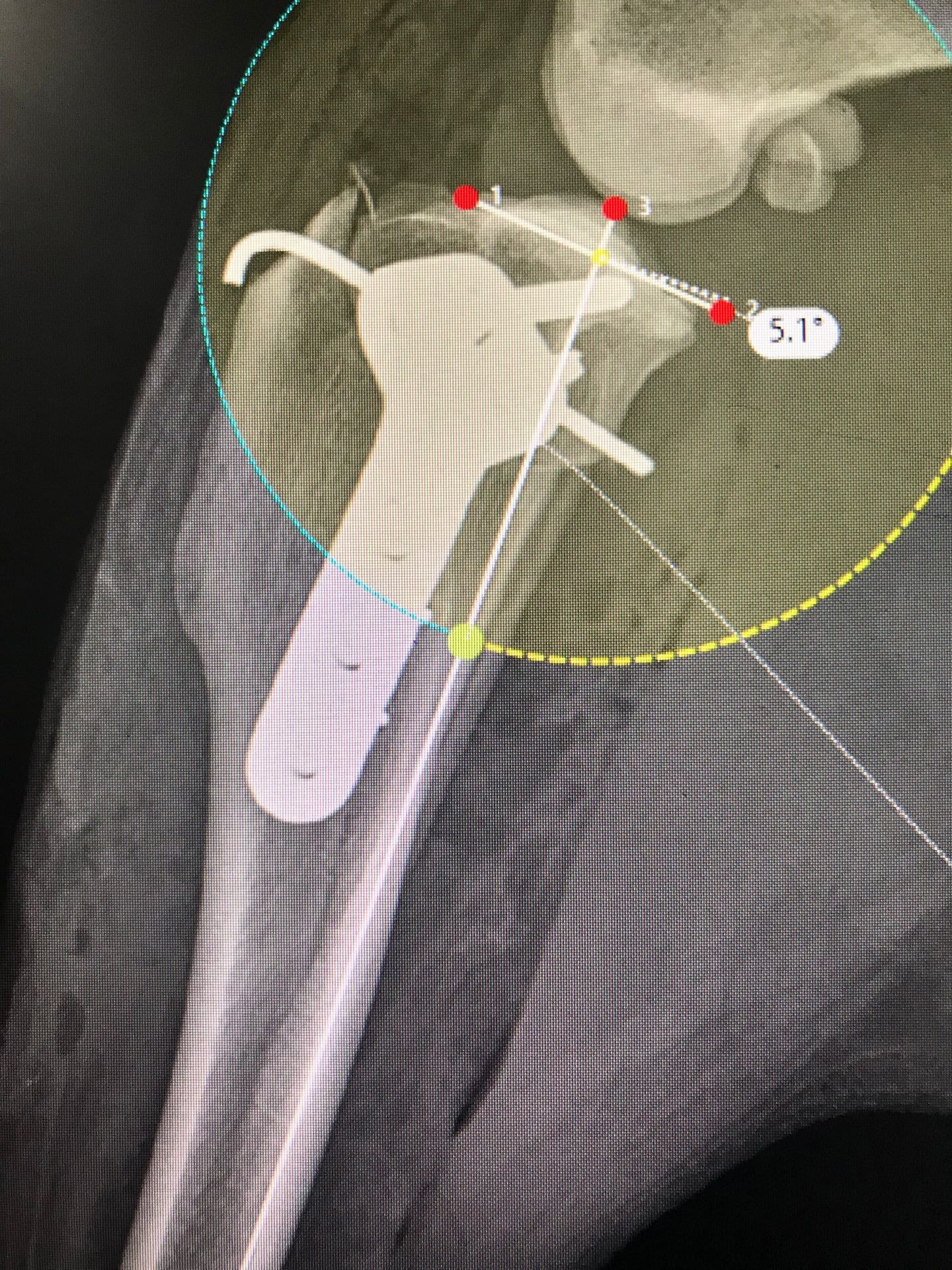 VETRIVER| Ortopeda - Weterynarz Warszawa - terapia IRAP, TTA Rapid, CUE